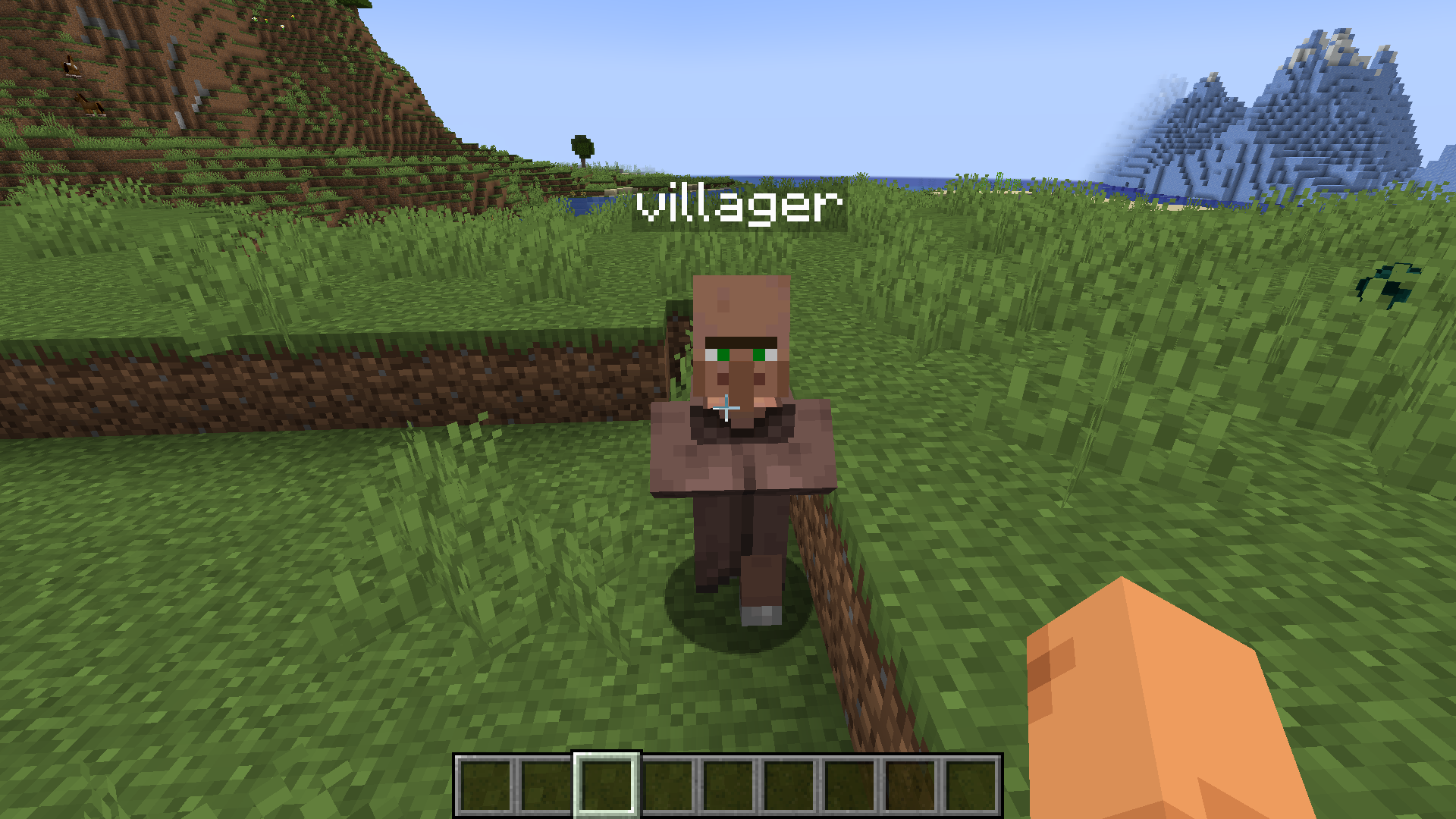 The Minecraft Glossary: What They Saying Anyway? | Engaged Family Gaming